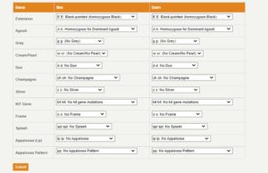 4 Best Horse Color Calculator - JSCalc Blog