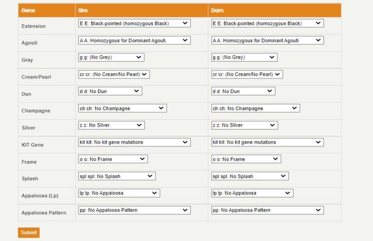 4 Best Horse Color Calculator - JSCalc Blog