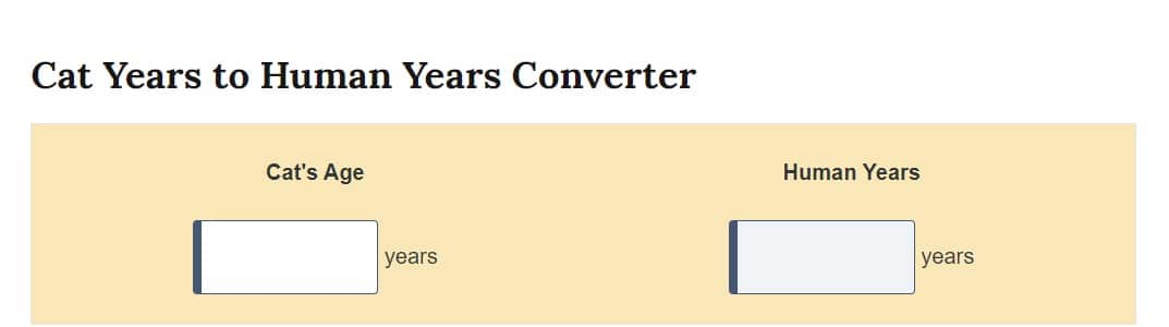 4 Best Cat Age Calculator To Try! - JSCalc Blog