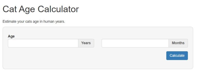 4 Best Cat Age Calculator To Try! - JSCalc Blog