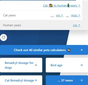 4 Best Cat Age Calculator To Try! - JSCalc Blog