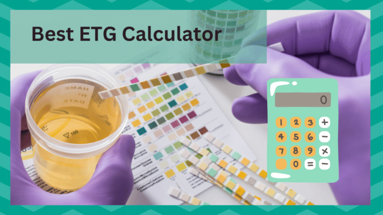 4 Best ETG Calculator Sites You Can Find - JSCalc Blog